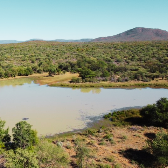 Accommodation – Mokolodi Nature Reserve